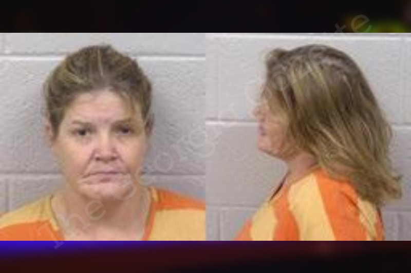 Tanya Ridley — Paulding County Jail Bookings