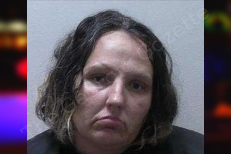 Daffney Sapp — Habersham County Jail Bookings