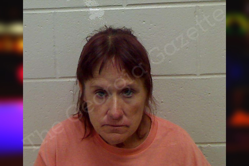 Stacy Sapp — Bulloch County Jail Bookings