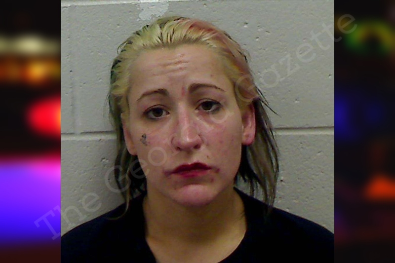 Angel Simmons — Bulloch County Jail Bookings