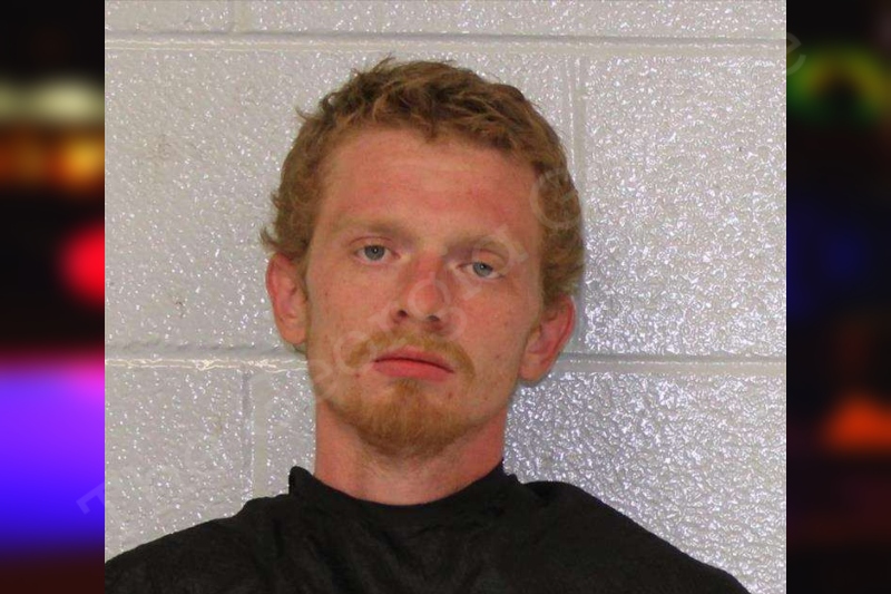 Austin Sims — Carroll County Jail Bookings