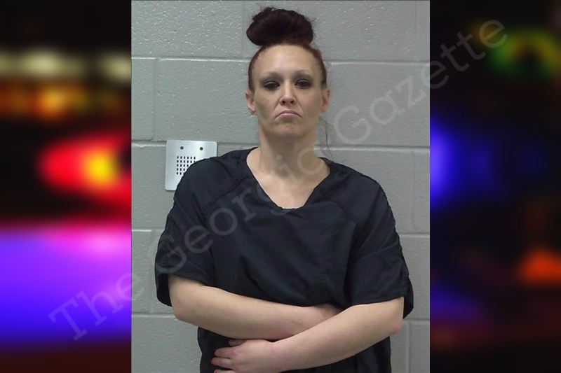 Sarah Sisson — Gilmer County Jail Bookings
