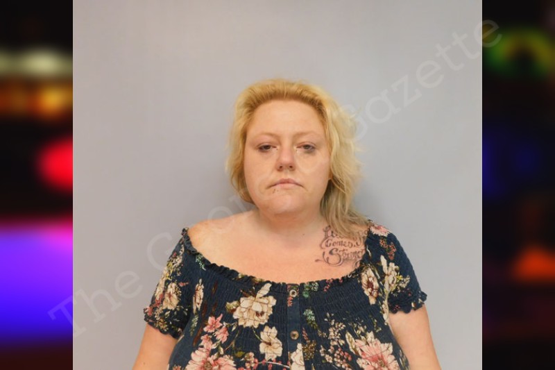 Crystal Sosebee — Hall County Jail Bookings