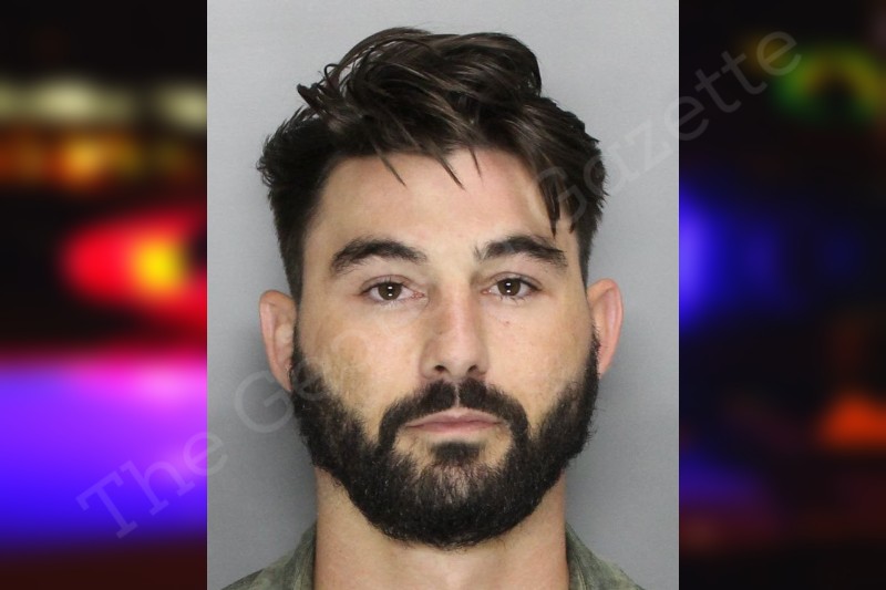 Michael Schriver — Cobb County Jail Bookings