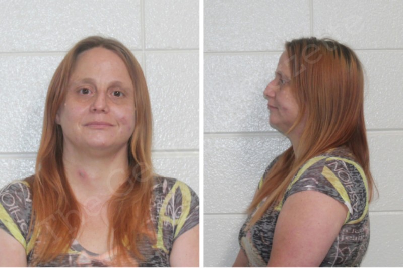 Danyell Smith — Houston County Jail Bookings