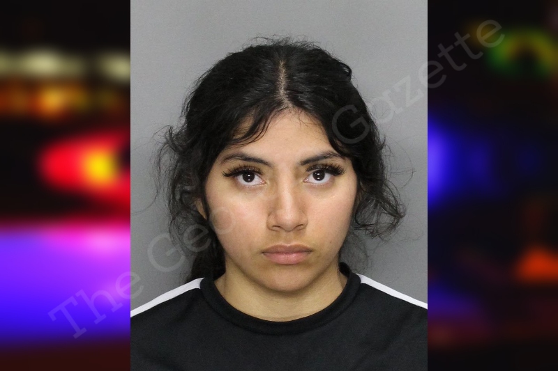 Ashley Suarez — Cobb County Jail Bookings