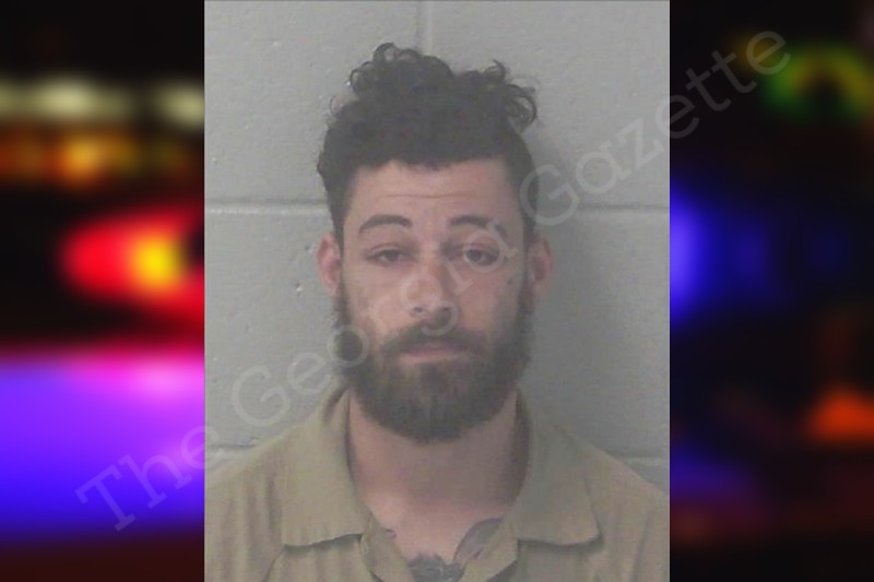 Michael Toussaint — Newton County Jail Bookings