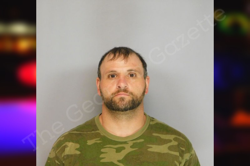 Andrew Turner — Hall County Jail Bookings