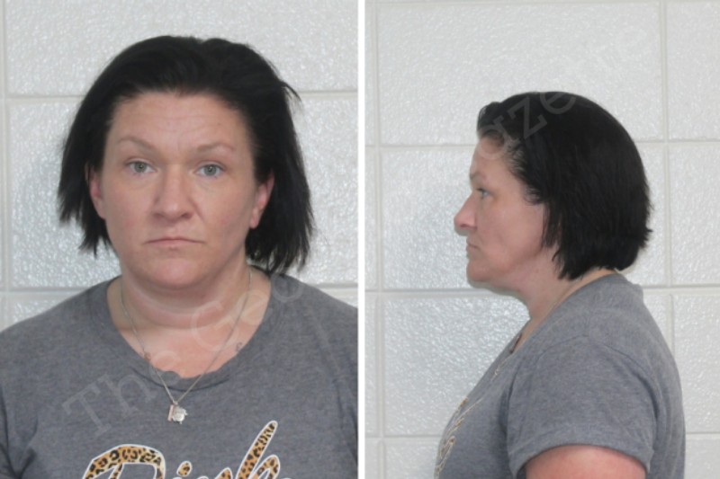 Brandi Tidwell — Houston County Jail Bookings