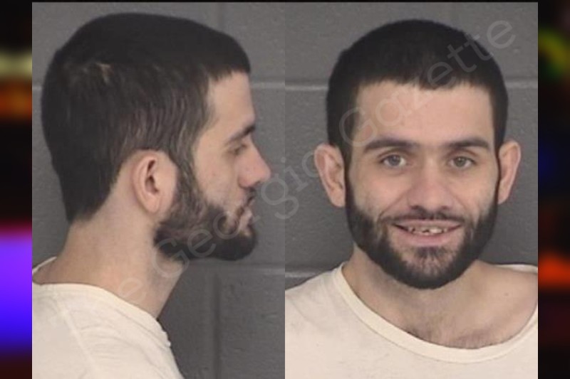 Ryan Tittle — Barrow County Jail Bookings