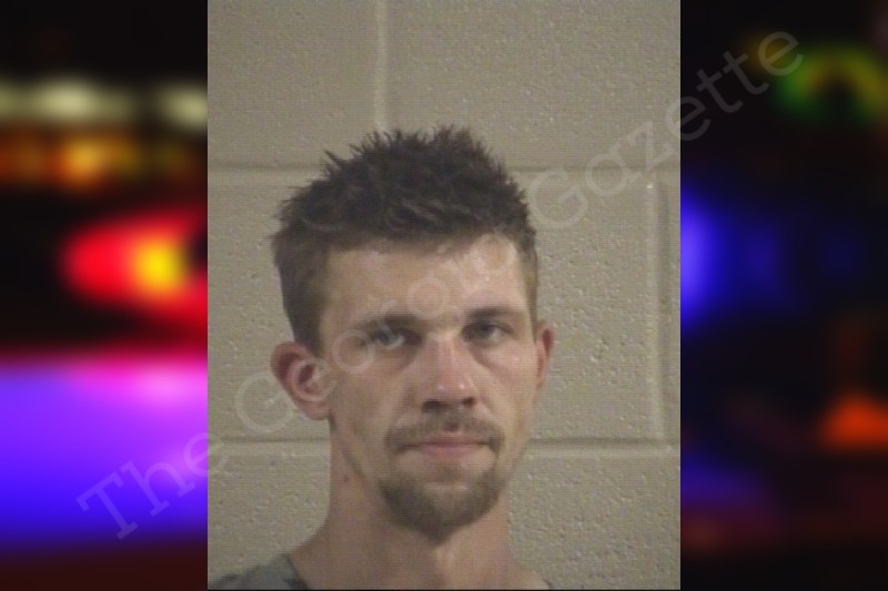 Travis Morrow — Whitfield County Jail Bookings