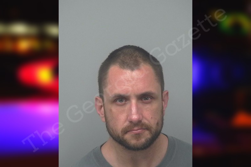 Anthony Walski — Gwinnett County Jail Bookings