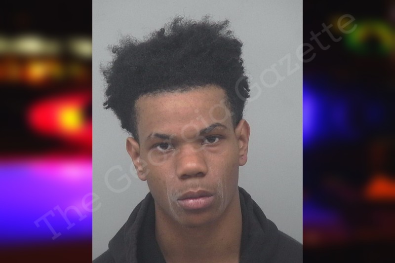 Michael Willingham — Gwinnett County Jail Bookings
