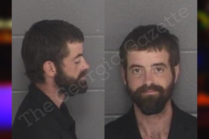 Tracy Waldron — Barrow County Jail Bookings