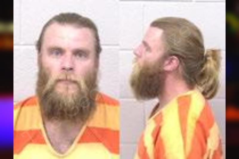 Arron Wical — Paulding County Jail Bookings