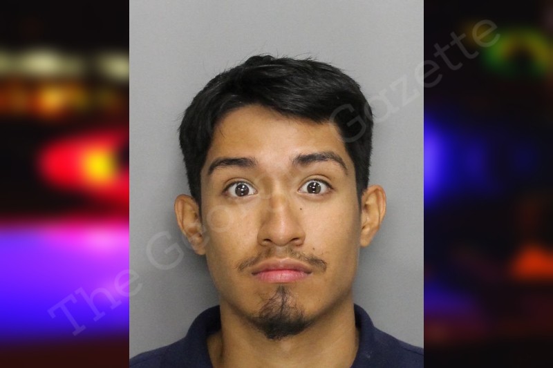 Brandon Zambrano — Cobb County Jail Bookings