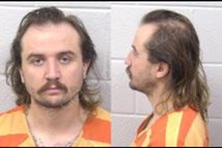 Daxton Stokes — Paulding County Jail Bookings