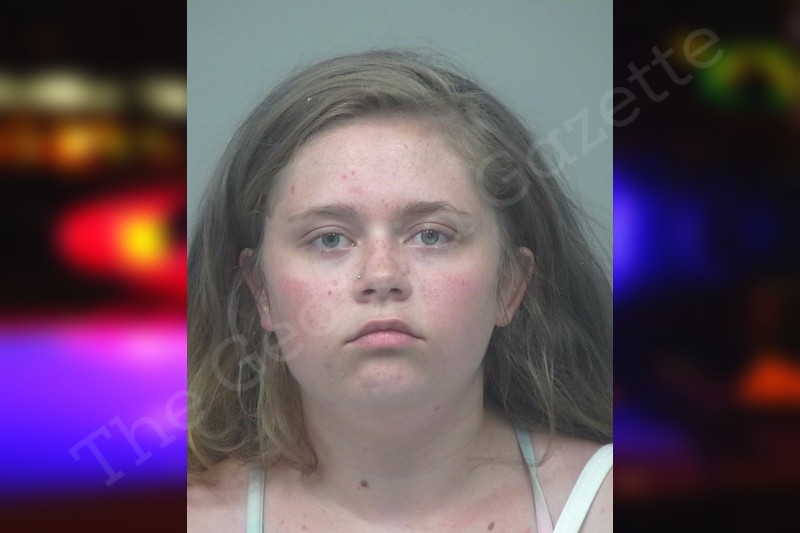 Kayleigh Abbott — Gwinnett County Jail Bookings
