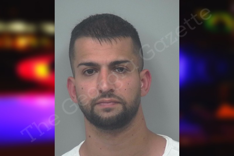 Hamid Ahmetovic — Gwinnett County Jail Bookings