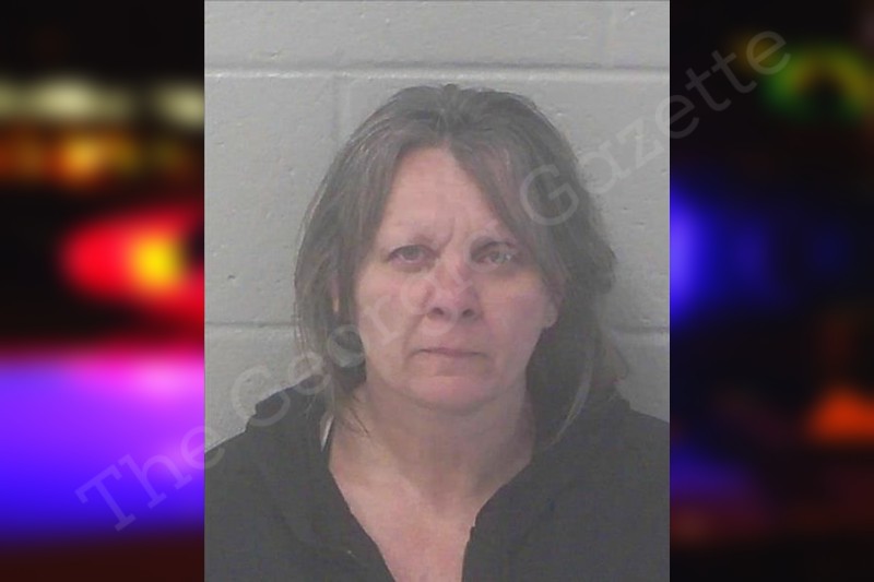 Brandy Alexander — Newton County Jail Bookings