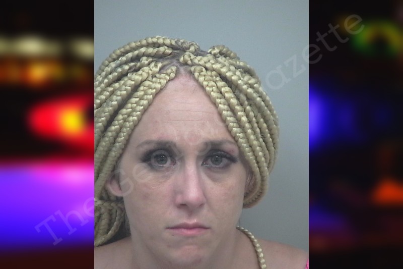 Erica Alston — Gwinnett County Jail Bookings