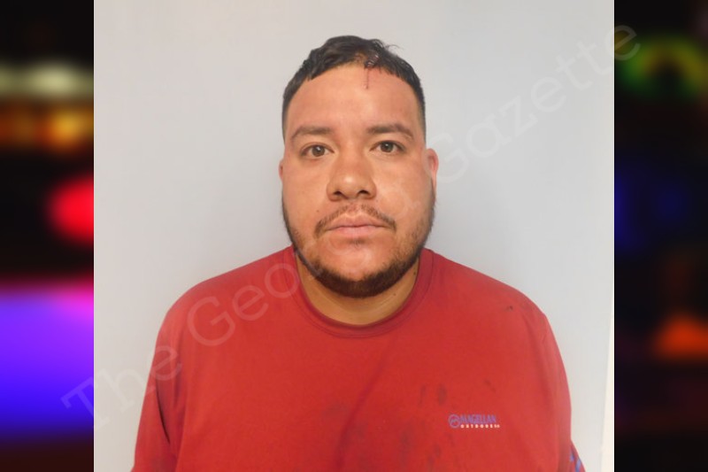Franco Alvarado — Hall County Jail Bookings