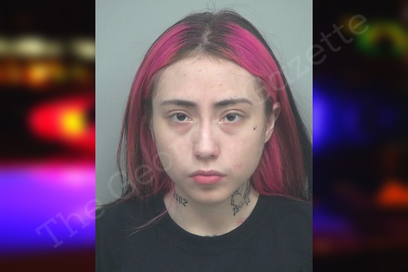 Kimberly Arroyo-Jacobo — Gwinnett County Jail Bookings