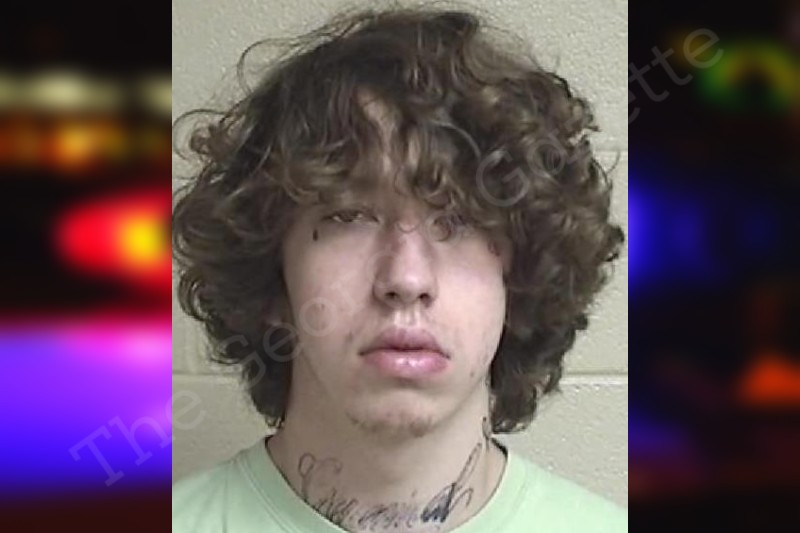 Ryan Adkins — Walker County Jail Bookings