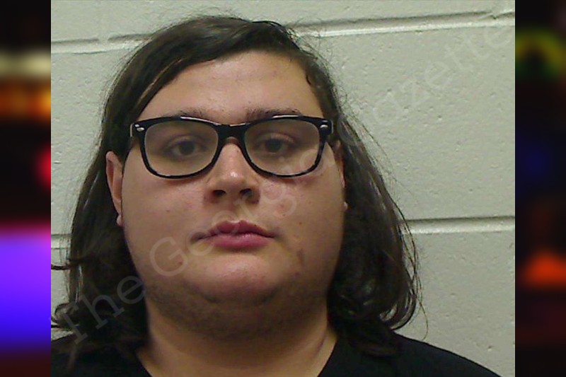 Thomas Bailey — Bulloch County Jail Bookings