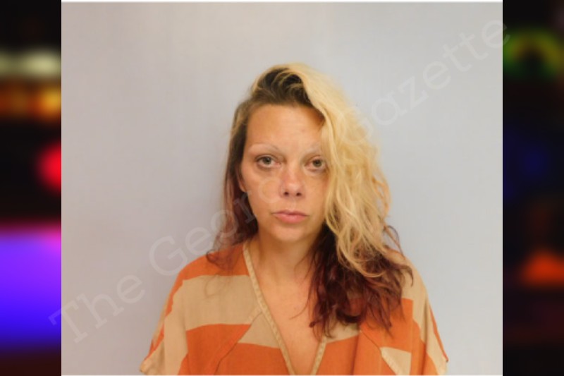 Toni Bailey — Hall County Jail Bookings
