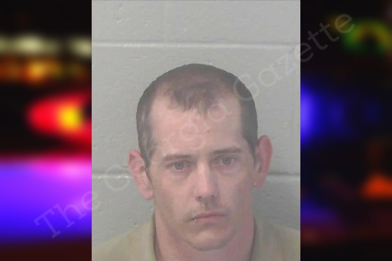 Michael Bean — Newton County Jail Bookings