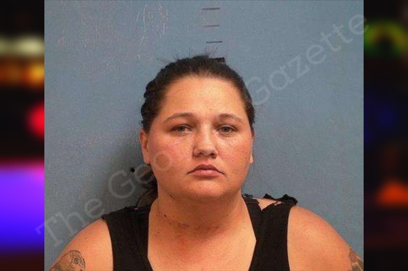 Ashley Bird — Monroe County Jail Bookings