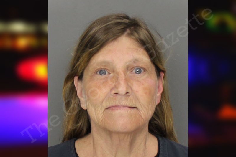 Tracy Brady — Cobb County Jail Bookings