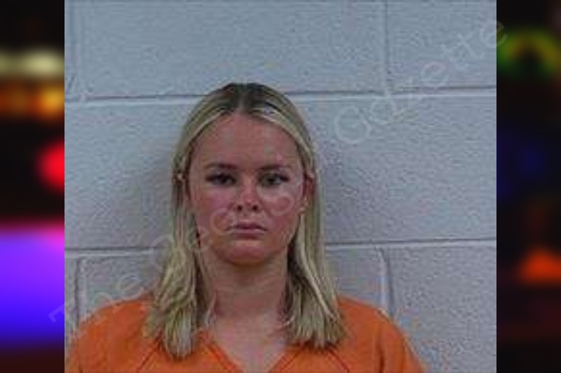 Maddison Buffington — Polk County Jail Bookings