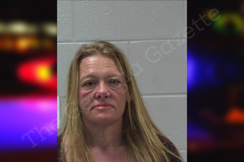 Amanda Burrell — Gilmer County Jail Bookings