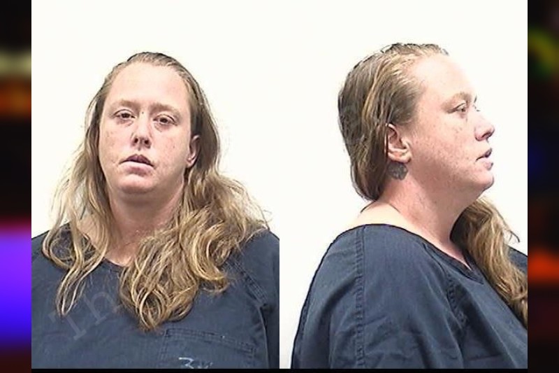 Lisa Burt — Clarke County Jail Bookings