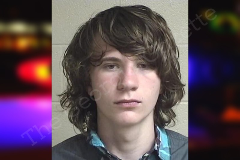 Brandon Baggett — Walker County Jail Bookings