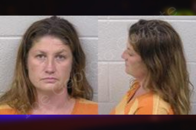 Candice Brewer — Paulding County Jail Bookings