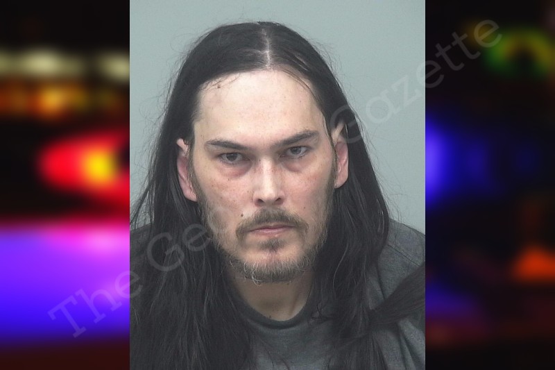 Michael Clinger — Gwinnett County Jail Bookings