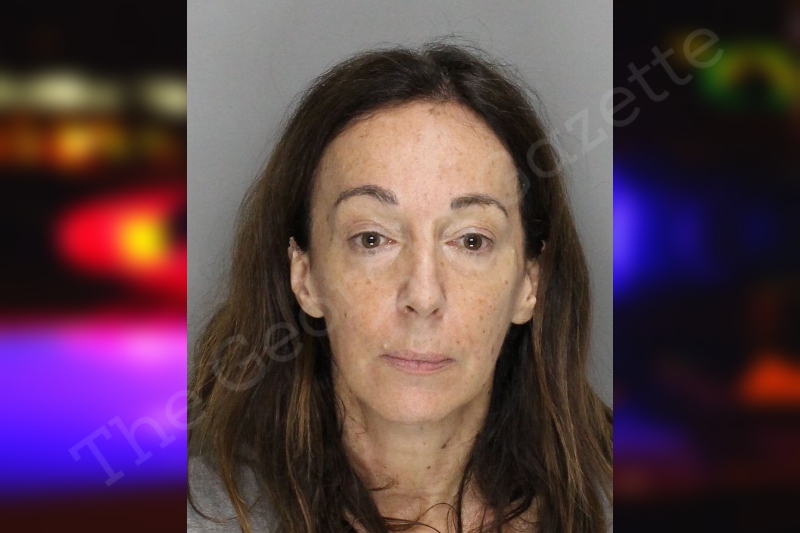 Amy Curran — Cobb County Jail Bookings