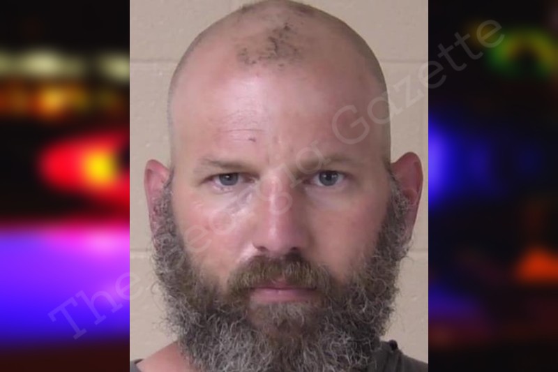 Timothy Chambers — Walker County Jail Bookings