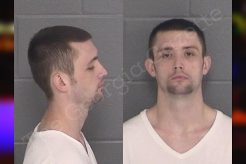 Dylan Criswell — Barrow County Jail Bookings