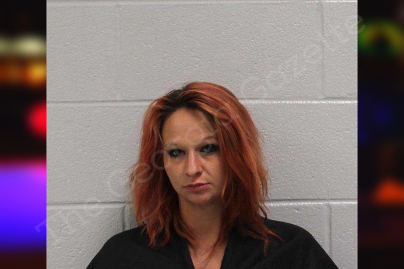Jessica Davis — Carroll County Jail Bookings