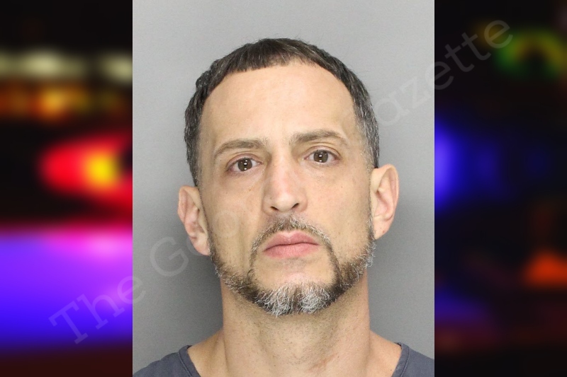 Andrew Deluccy — Cobb County Jail Bookings