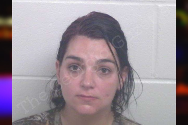 Crystal Denton — Washington County Jail Bookings