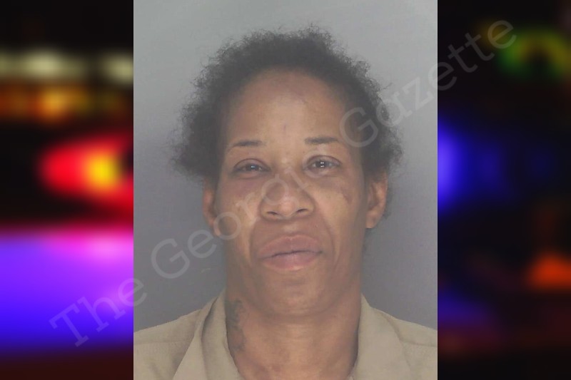 Natasha Downing — Douglas County Jail Bookings