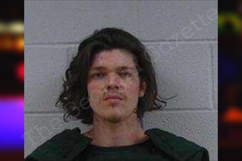 Alan Driver | Polk County Jail Bookings