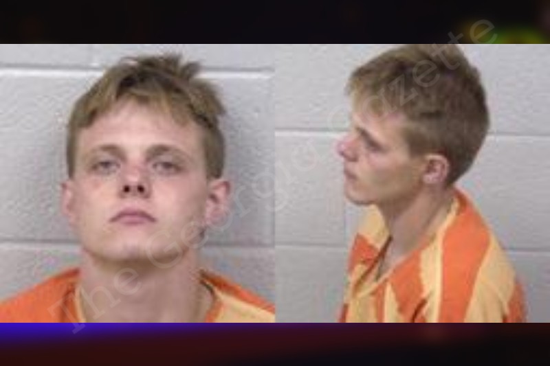 Shawn Davis — Paulding County Jail Bookings