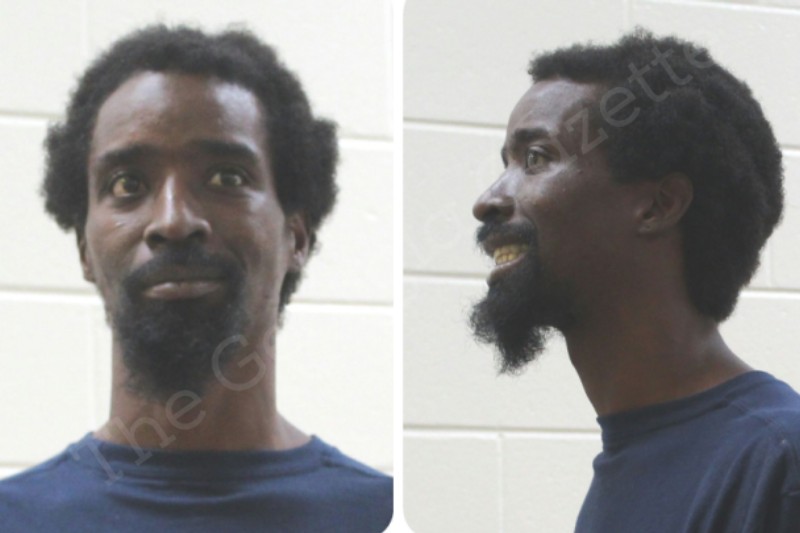 Reginald Dennis — Houston County Jail Bookings