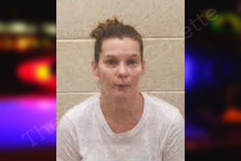 Crystal Dyer — Pickens County Jail Bookings